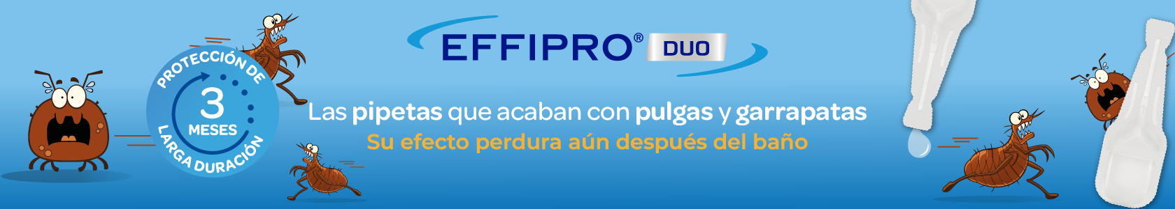 EFFIPRO DUO: La solución a infestaciones por pulgas y garrapatas ...