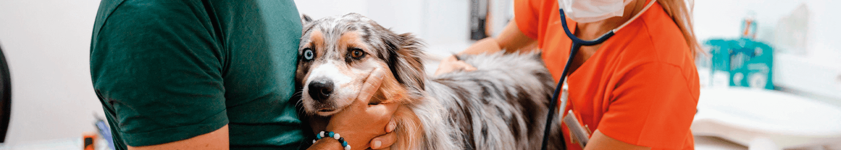 Canigen® MHA2PPi/LR