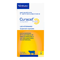 Curacef® Duo